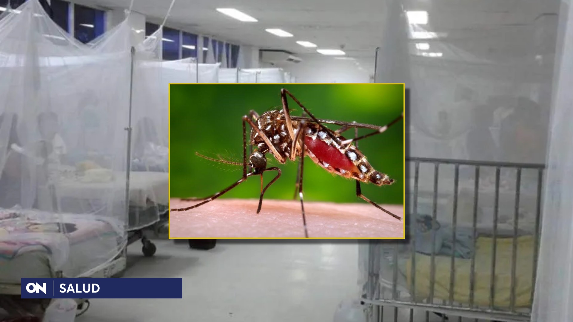 Más De 7 Mil Casos De Dengue Confirman Autoridades De Salud