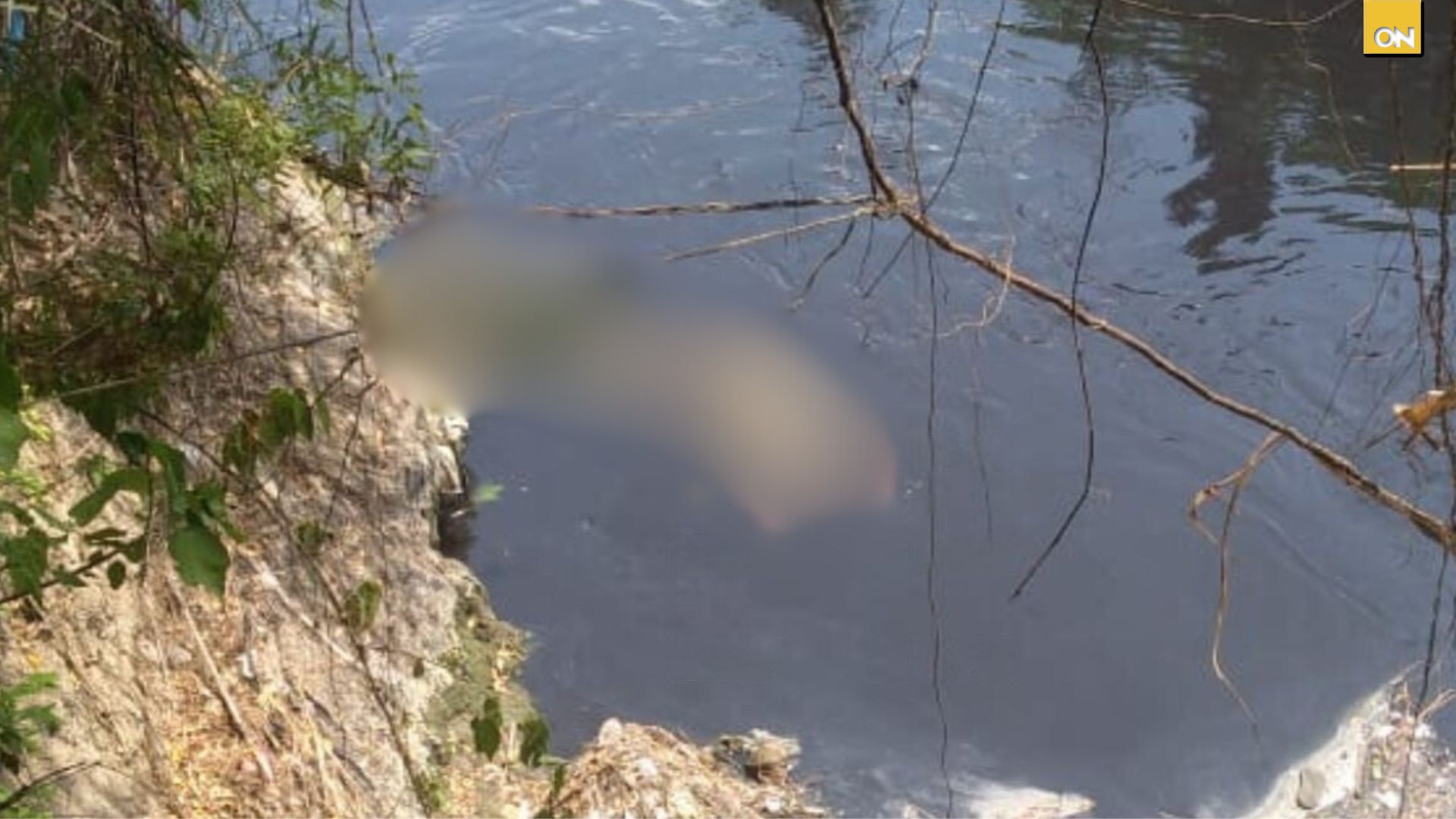Trasciende el descubrimiento de tres cuerpos en Rivera Hernández